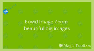 Ecwid image zoom