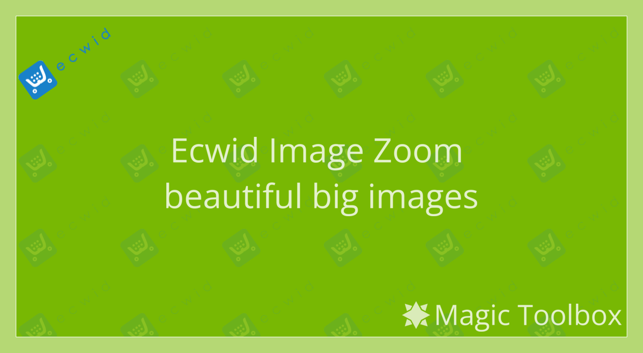 ECWID Image Zoom – beautiful big images – Magic Zoom