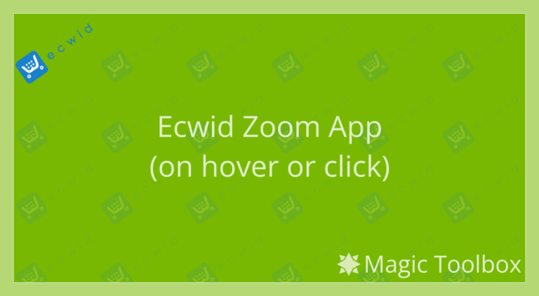 Ecwid zoom widget